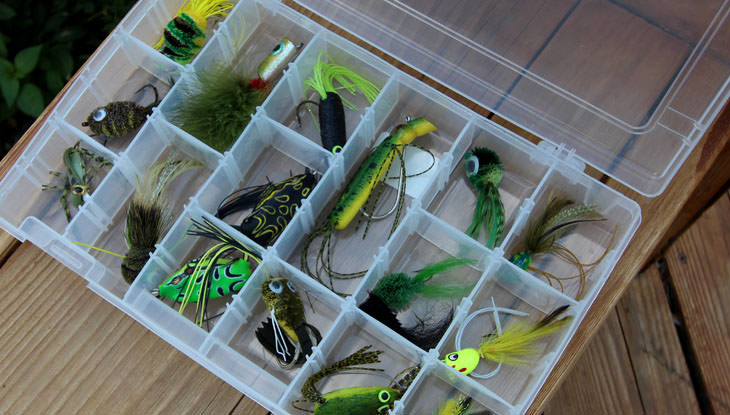Fishing bait and tackle | Destination Ontario