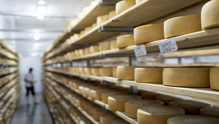 Sample local cheese | Destination Ontario
